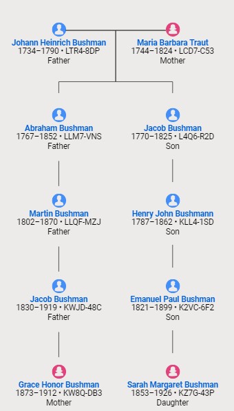 Sadie Bushman, age nine, The Heroine of Gettysburg, b. 19 August 1853 ...